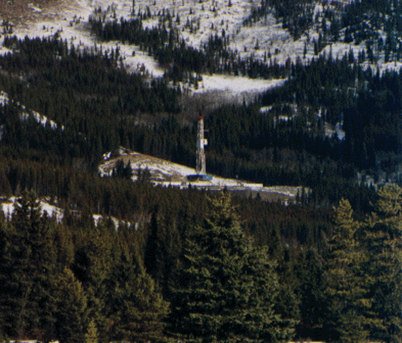 Contact Us - WellSight Systems Inc.